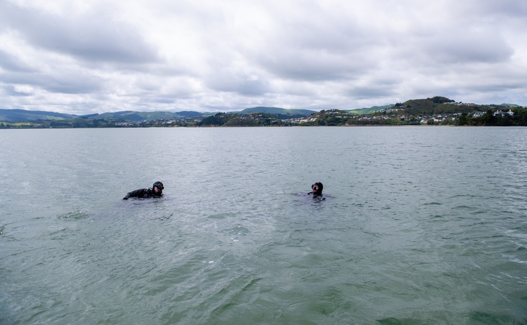 WEB-Mud_survey_Sam_Fraser_Baxter_NIWA-(1-of-1)-3.jpg | Earth Sciences New Zealand | NIWA