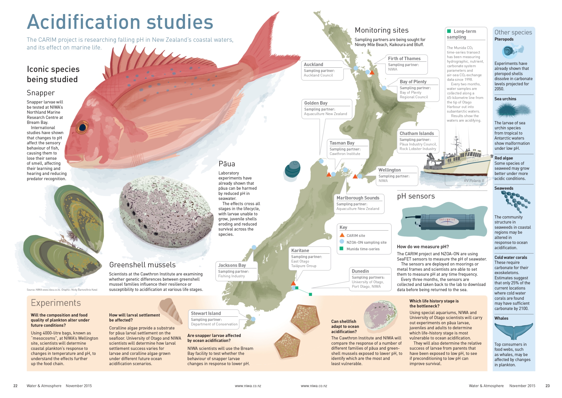 Acidification studies infographic | Earth Sciences New Zealand | NIWA