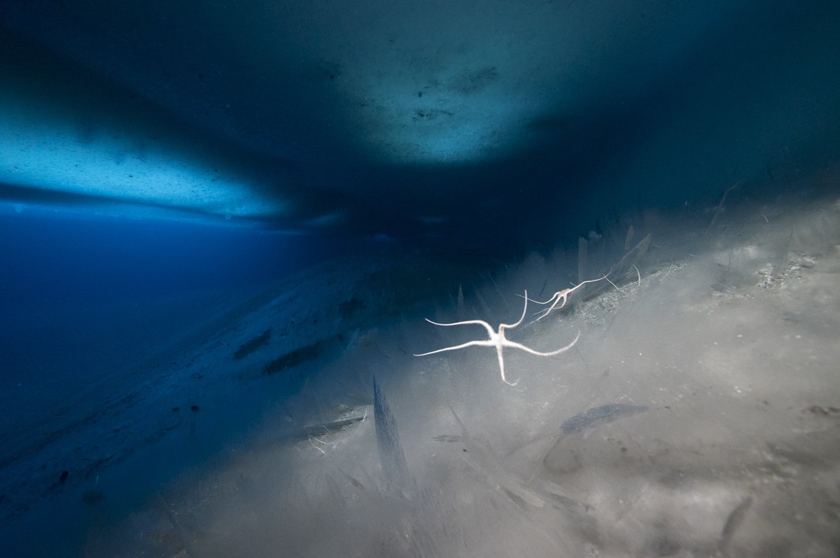 Freezing Point What Is Freezing Point Of Water?, Lowering And Raising