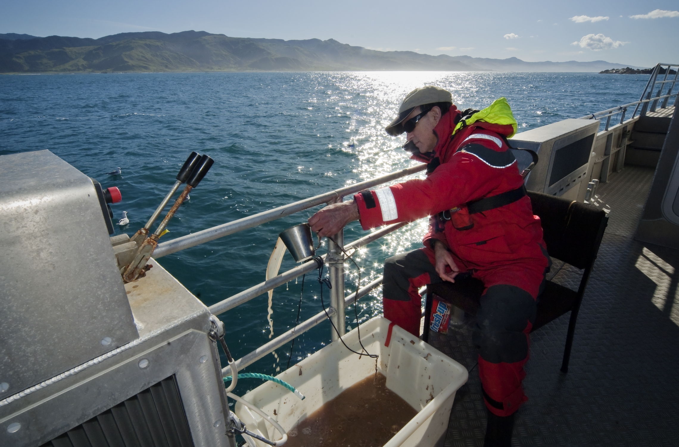 Ikatere - Malcolm Francis lays a burley trail to attract Great White Sharks for tagging | NIWA