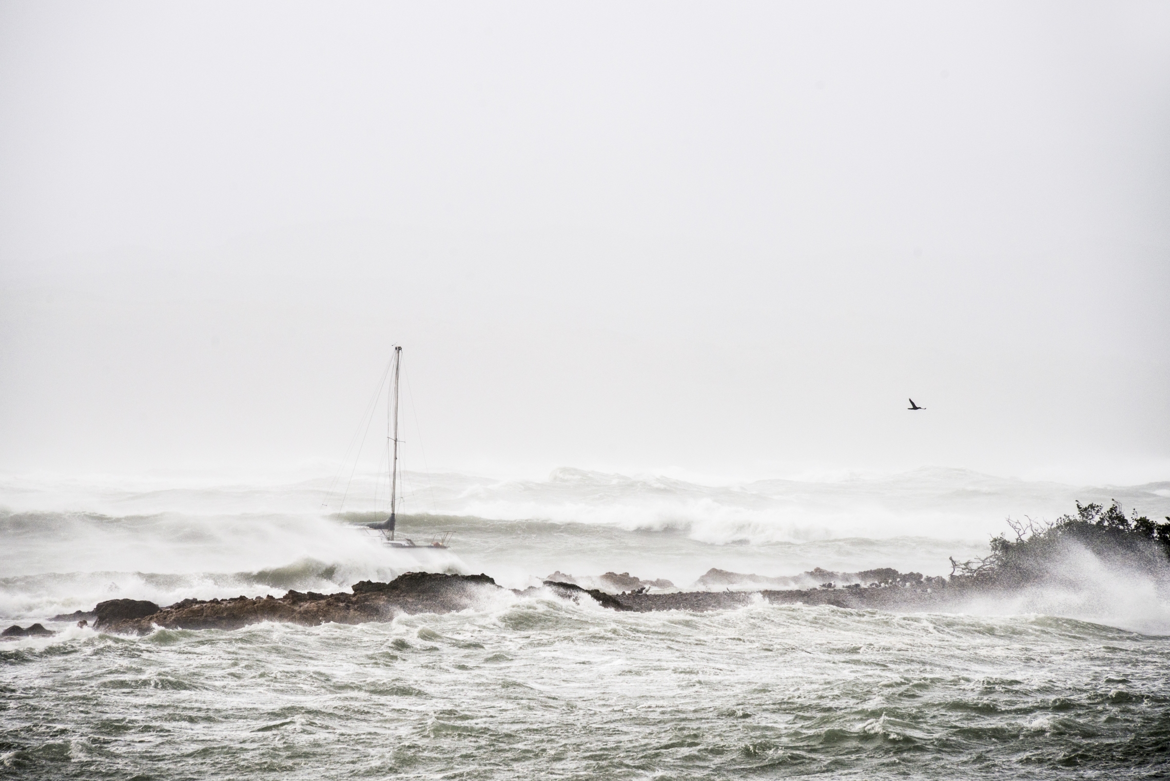 Wellington storm - June 2013 | Earth Sciences New Zealand | NIWA
