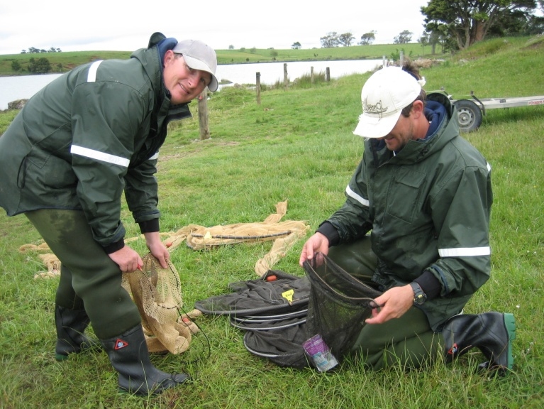 Baiting fyke nets with catfood pouches during a tuna survey - Lake ...