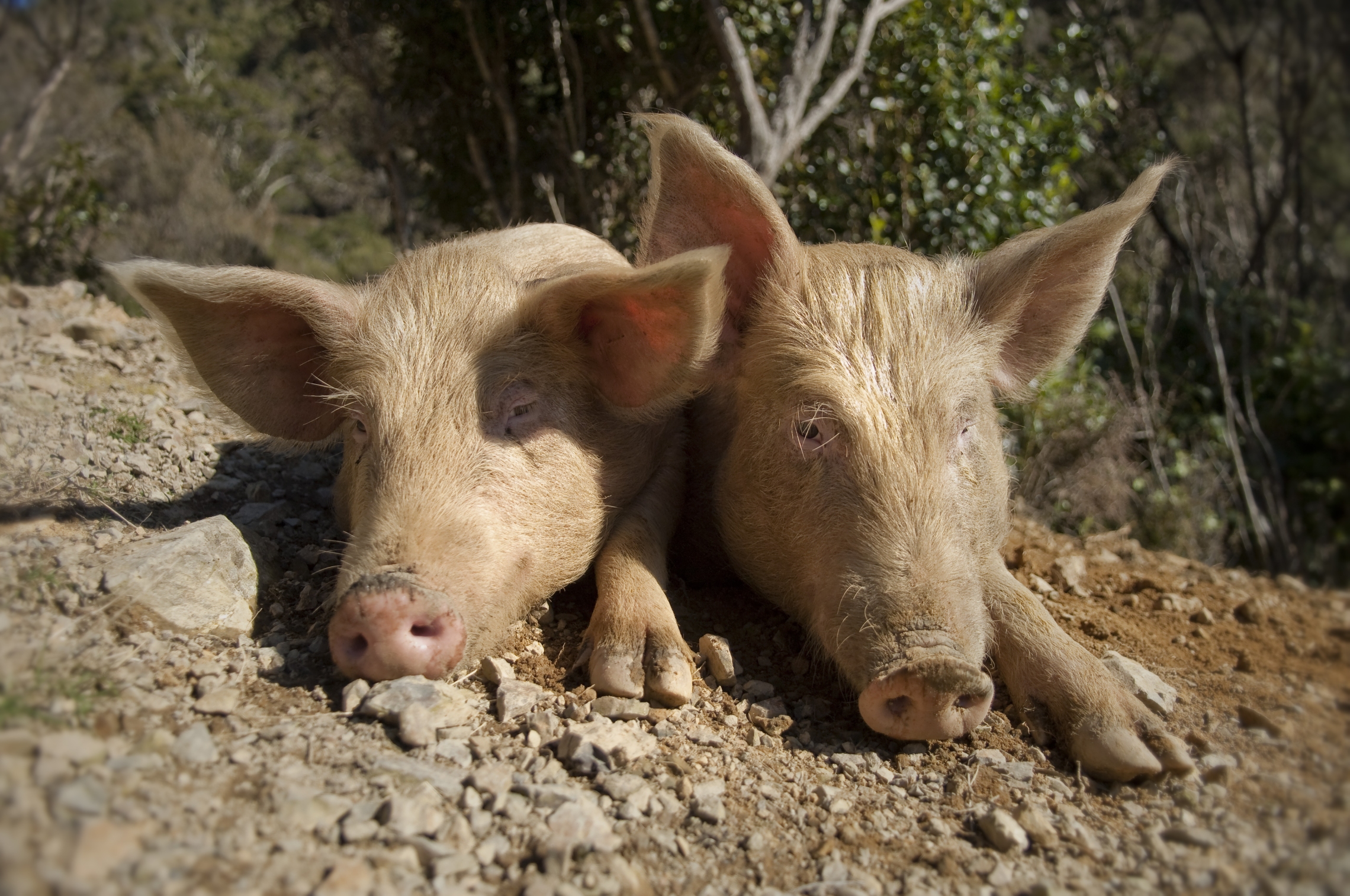 dsc_0552.jpg | Earth Sciences New Zealand | NIWA