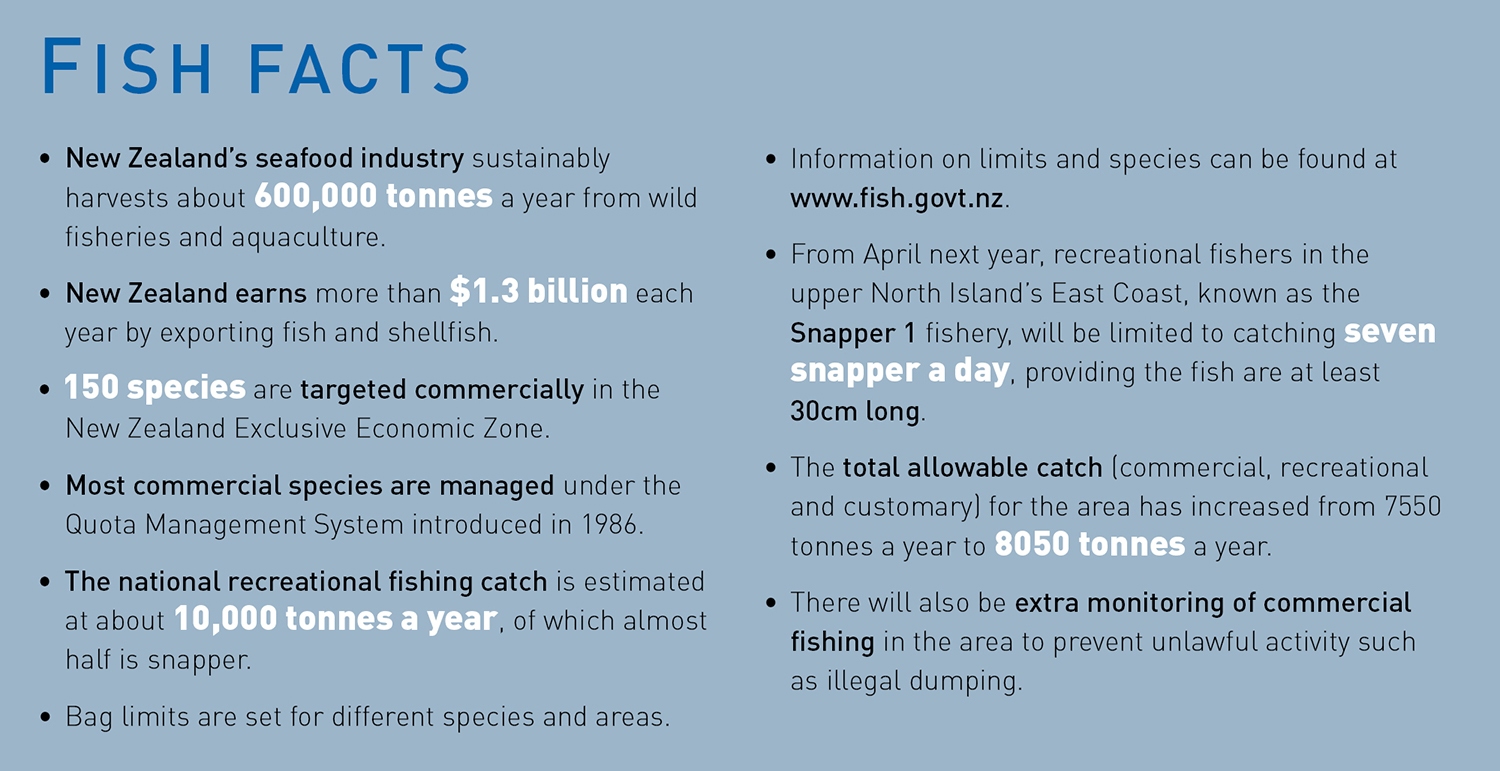 Fish facts, W&A 9, December 2013 | Earth Sciences New Zealand | NIWA