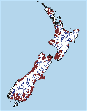 Lamprey : lamprey.gif | NIWA