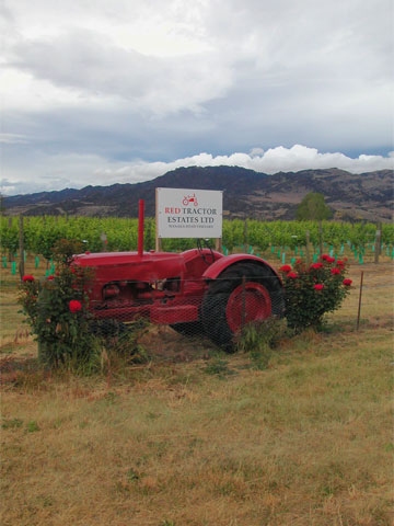 Red Tractor Estate vineyard on the Cromwell Wanaka highway. (Photo ...