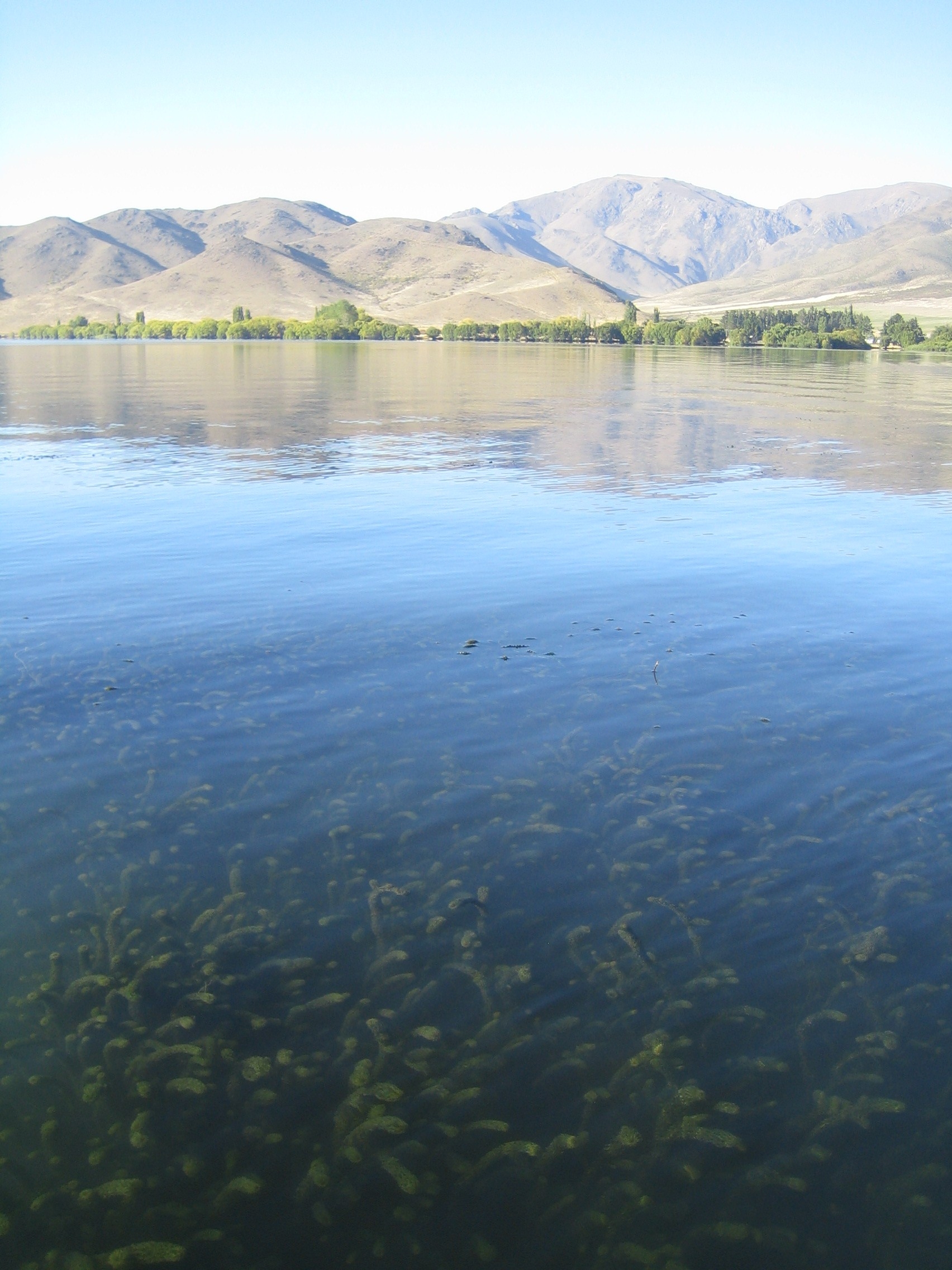 Lake Benmore | Earth Sciences New Zealand | NIWA