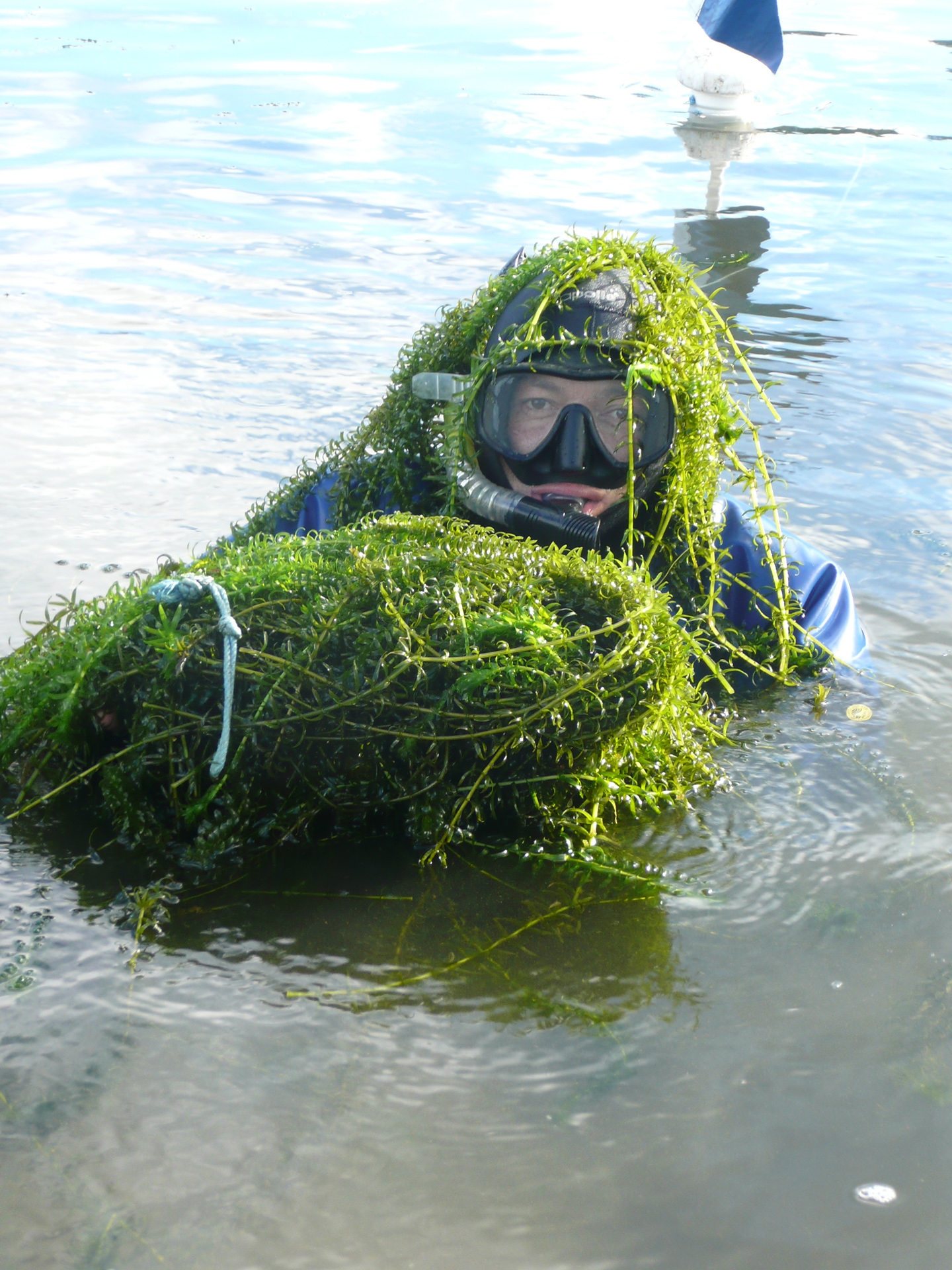 NIWA diver Aleki Taumopeau with invasive weeds in Lake Rotorangi | NIWA