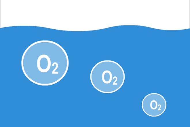 oxygen.jpg | Earth Sciences New Zealand | NIWA