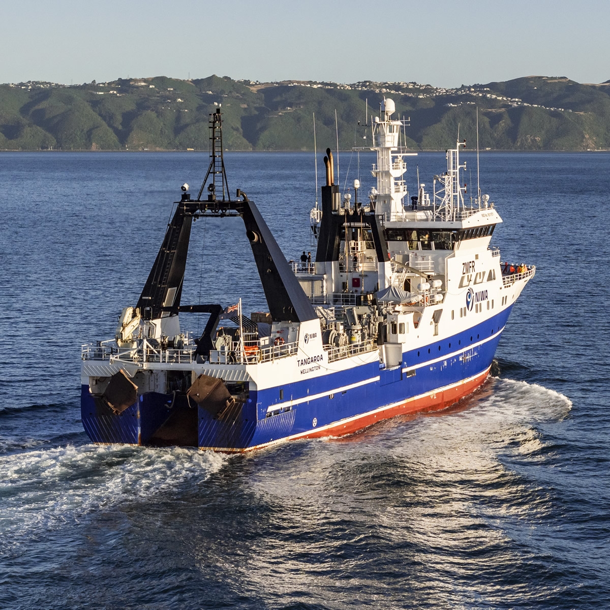 tangaroa_DSC_0846_credit_dave_allen-1200sq.jpg | NIWA